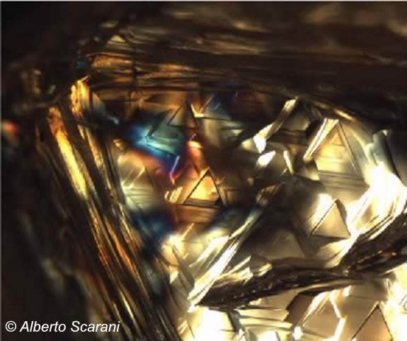 Addeo Jewelry Appraisals | Lake Mary