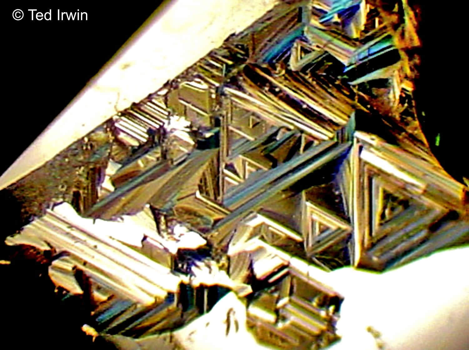 Northwest Gemological Laboratory | Bellevue